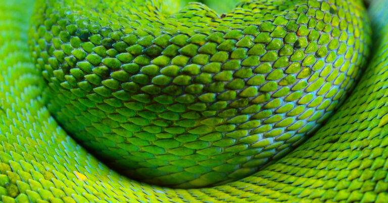 Extending Excel For Planning With Python Production Scheduling